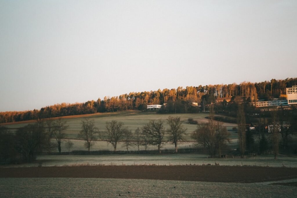 Fricassée savoureuse : astuces et étapes à découvrir 🍽️